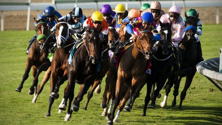 Understanding the Ins and Outs of Horse Racing - Page Start