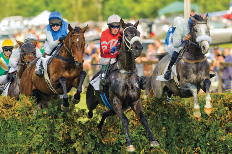 Understanding the Ins and Outs of Horse Racing - Page Start